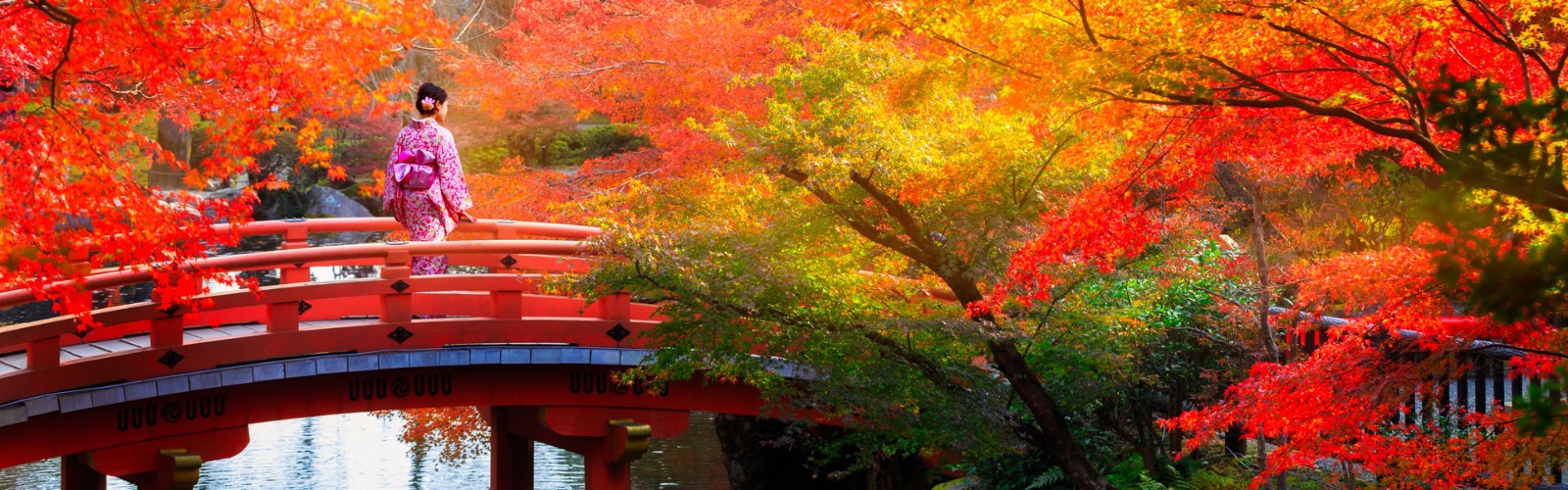 Japan Holidays 2019 / 2020 | Wendy Wu Tours AU